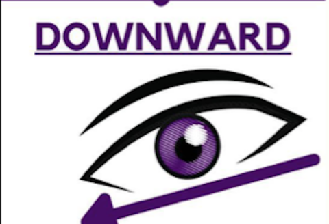 DOWNWARD ANGLED EYES - Subtle Skills